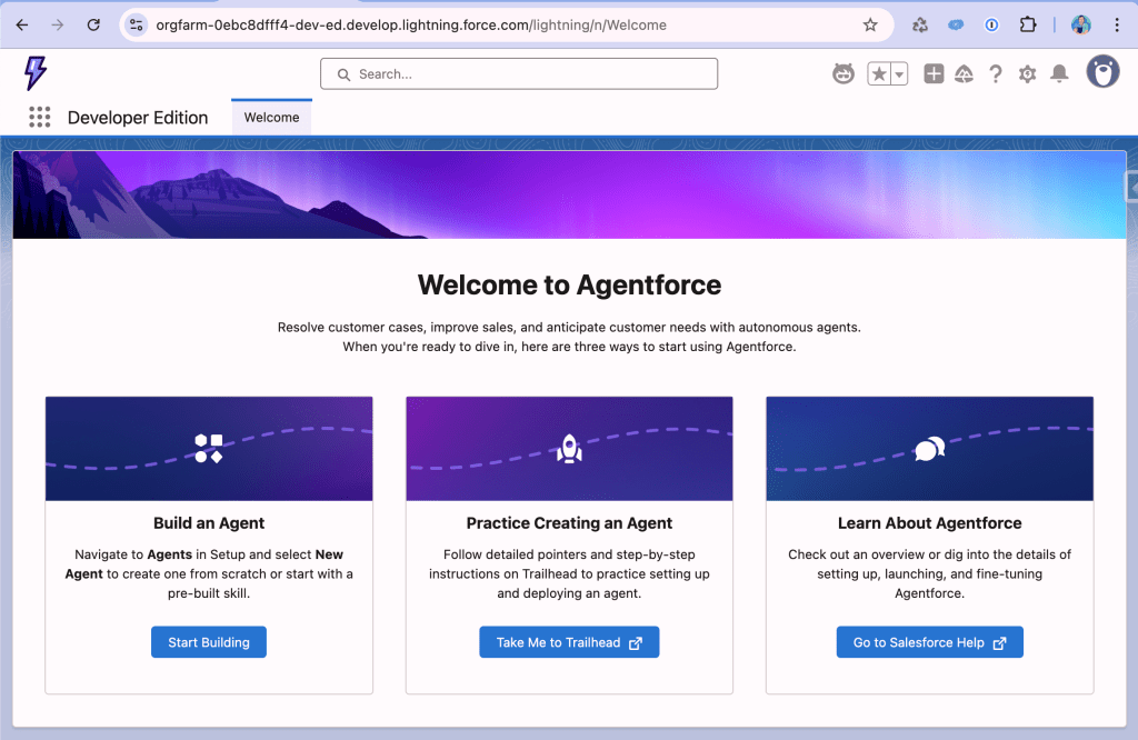 How to Get Your AI-Powered Enhanced Developer Org with Agentforce and ...