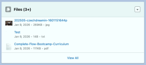 The Ultimate Guide to the Salesforce Screen Flow File Preview Component ...